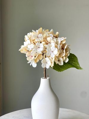 Buy Mason Home Artificial Primrose Flower Bunch - Ivory Online