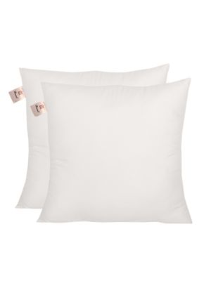 Buy Sivya by Home Micro Fiber 16X16 Inch Cushion Insert- White Pack Of ...
