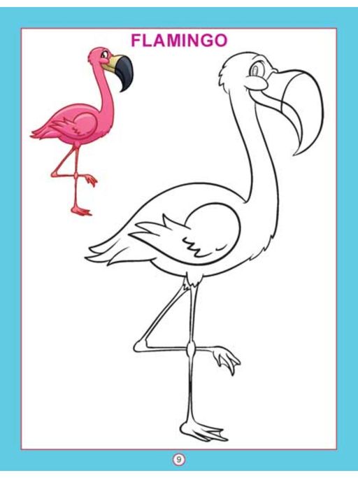 copy the color coloring pages