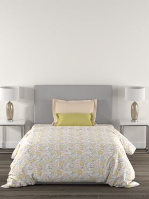 Buy MYTRIDENT Home Essential Bedsheet with 2 Pillow Covers 144 TC ...