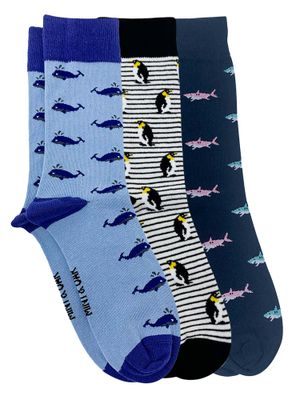 Buy Mint & Oak Zootopia Toes Socks for Men (Pack of 3) Online