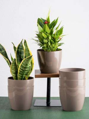 Buy Nurturing Green Combo of 6 Mocha Glossy Plastic Planters online