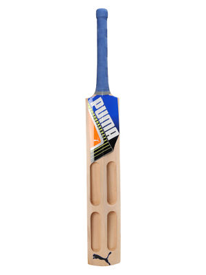 Puma Cricket Bat : Buy Puma Future Stb 1.2 Mens Blue Cricket Bat (Long ...