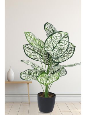 Buy Home Bloom Artificial PVC Big Leaves Plants for Indoor Outdoor with ...