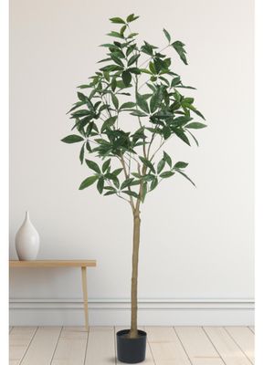 Buy Home Bloom Decoration Artificial Pachira Plants Online