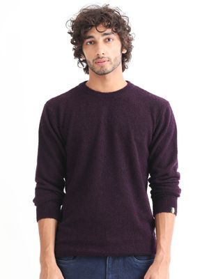 Buy Rare Rabbit Purple Textured Solid Sweater Online