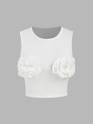 Buy Cider Round Neckline Solid Rosette Crop Top (S) Online