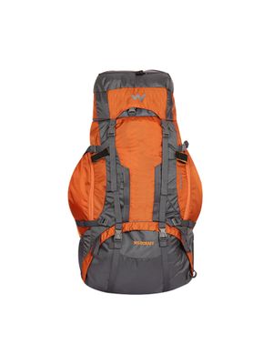 Buy Wildcraft Alpinist Plus Travel Backpack Online