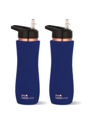 Buy The Better Home Blue Copper Water Bottle with Sipper (Pack Of 2) Online