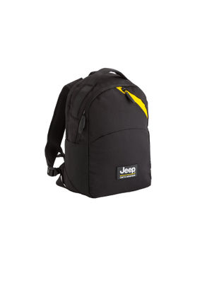 Buy CARPISA Rugged Go Backpack Online