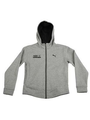 Buy Puma Grey Alpha Graphic Sweat Jacket Online