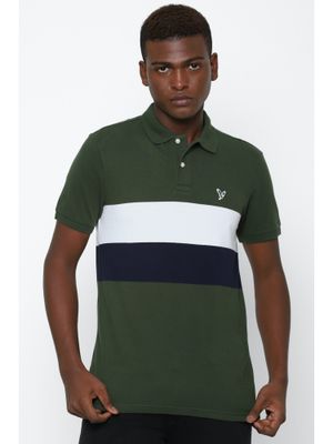 Buy American Eagle Men Green Colorblock Pique Polo T-Shirt online