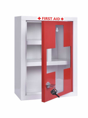 Buy Plantex Platinum (Metal) Multi Compartments Emergency First Aid Box ...