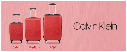 Calvin Klein Luggage and Travel Bag : Buy Calvin Klein CK LOGO Silver ...