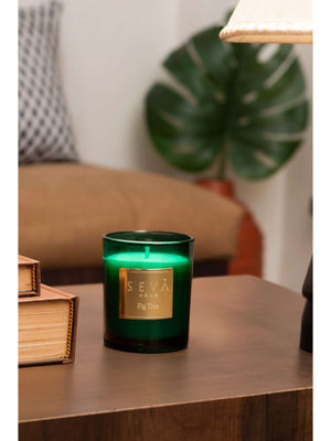Buy SEVA HOME Green Signature Scented Candle - Fig Tree Online