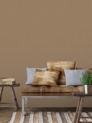 Buy Excel Brown Desserted Land Wallpaper Online
