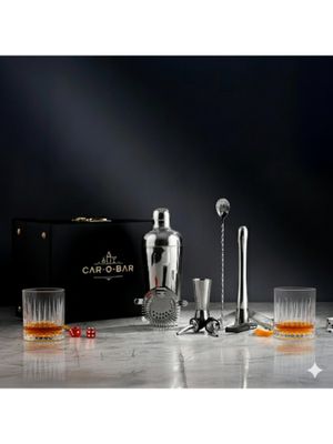 Buy Car-O-Bar 9 Piece Silver Bartender Kit with 2 Cocktail Glasses ...