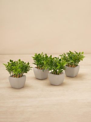 Buy Pure Home + Living Set Of 4 Green Grey Artificial Plants With Pots ...