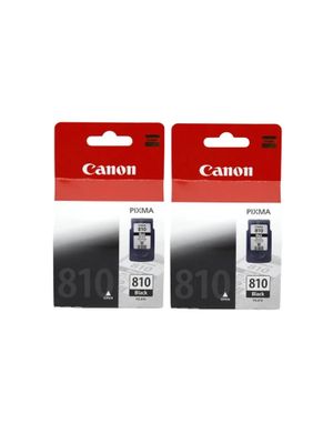 Buy Canon Combo of 2 PG-810 Ink Cartridge (Black) Online