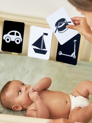 Buy Baby Moo High Contrast Flash Cards Pack of 12 - Objects and ...