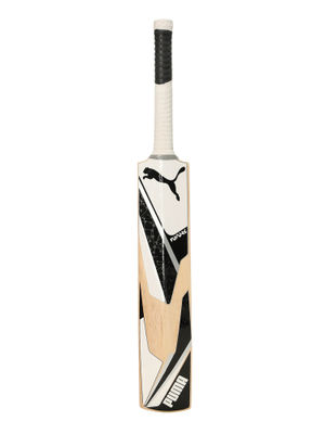Buy Puma Future JNR 3.1 Men's White Cricket Bat (6) Online