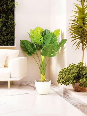 Buy The Better Home Artificial Plant Online