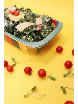 Buy Freedom Tree Taram Ceramic Baking Dish Multicolor online