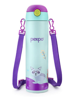 Buy Pexpo Pixy Sea Green-Raccoon Stainless Steel Vacuum Insulated Kids ...