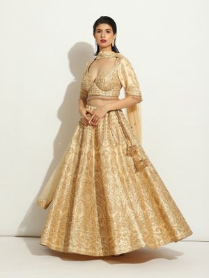 Buy VANDANA SETHI Light Gold Sequin Work Lehenga in an Ivory Shimmer ...