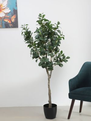 Buy Home Bloom Artificial Ficus Benjamina Flower Plants Living Room ...