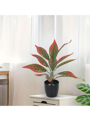 Buy Home Bloom Beautiful Artificial Red Croton Plant Mini Bush Basic ...