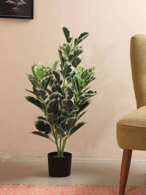 Buy Home Bloom Artificial Andrew Croton Plant 85 cm Tall for Home Decor ...