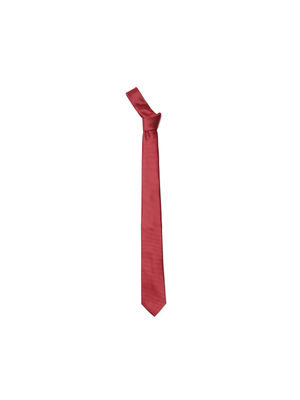 Buy Arrow Men Formal Solid Red Tie Online