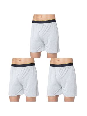 Buy Bummer Grey Micro Modal Boxers Shorts for Men (S) Online