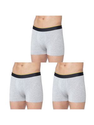 Buy Bummer Grey Micro Modal Trunks Underwear for Men (S) Online