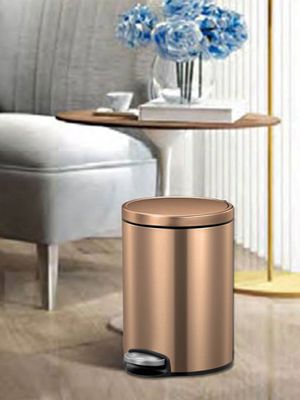 Buy OBSESSIONS Fingerprint Resistant Step Dustbin with Liner, 5 Litres ...
