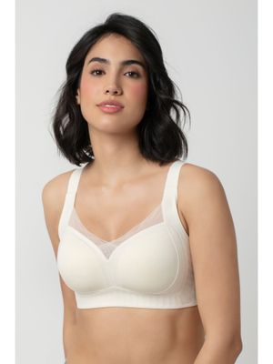 Buy bodyline White Seamless Thin Padded Full Coverage T-Shirt Bra (S) Online