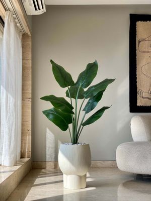 Buy Mason Home Green Artificial Funa Philodendron Plant Online