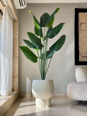 Buy Mason Home Artificial Funa Philodendron Plant Online
