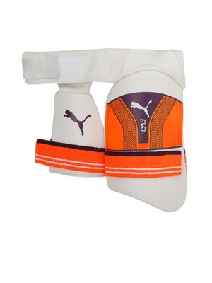 Puma Guards : Buy Puma Evo Dual Unisex White Cricket Body Protection ...