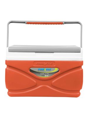 Buy Pinnacle Prudence Ice Box with Soft Touch Handle Keeps Cold Upto 48 ...