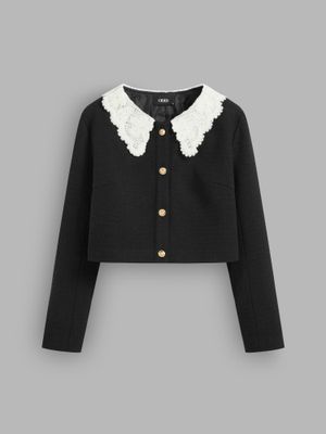 Buy Cider Collar Solid Button Two Tone Crop Jacket (XS) Online