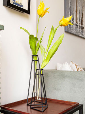 Buy IAAH Concave Glass Tube Vase Online