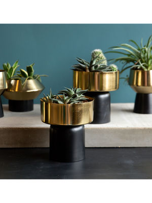 Buy Logam Fiore Planter - Tall Online