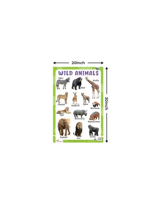 wild animals chart
