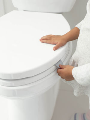 Skip Hop Potty Seats : Skip Hop Potty Training Easy Store Toilet ...