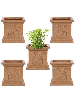 Buy Kuber Industries Plastic Tulsi Mancha Planter Pot Marble Design ...
