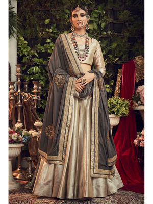 Buy Ranian Champagne Lehenga and Blouse with Grey Velvet Dupatta (Set ...