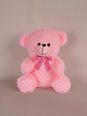 Buy DukieKooky Kids Max Teddy Soft Toy Online