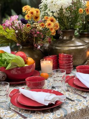 Buy HITKARI POTTERIES Crimson Rose Dinner Set 18Pc Online